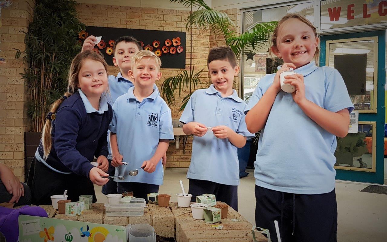 Woolworths Discovery Garden